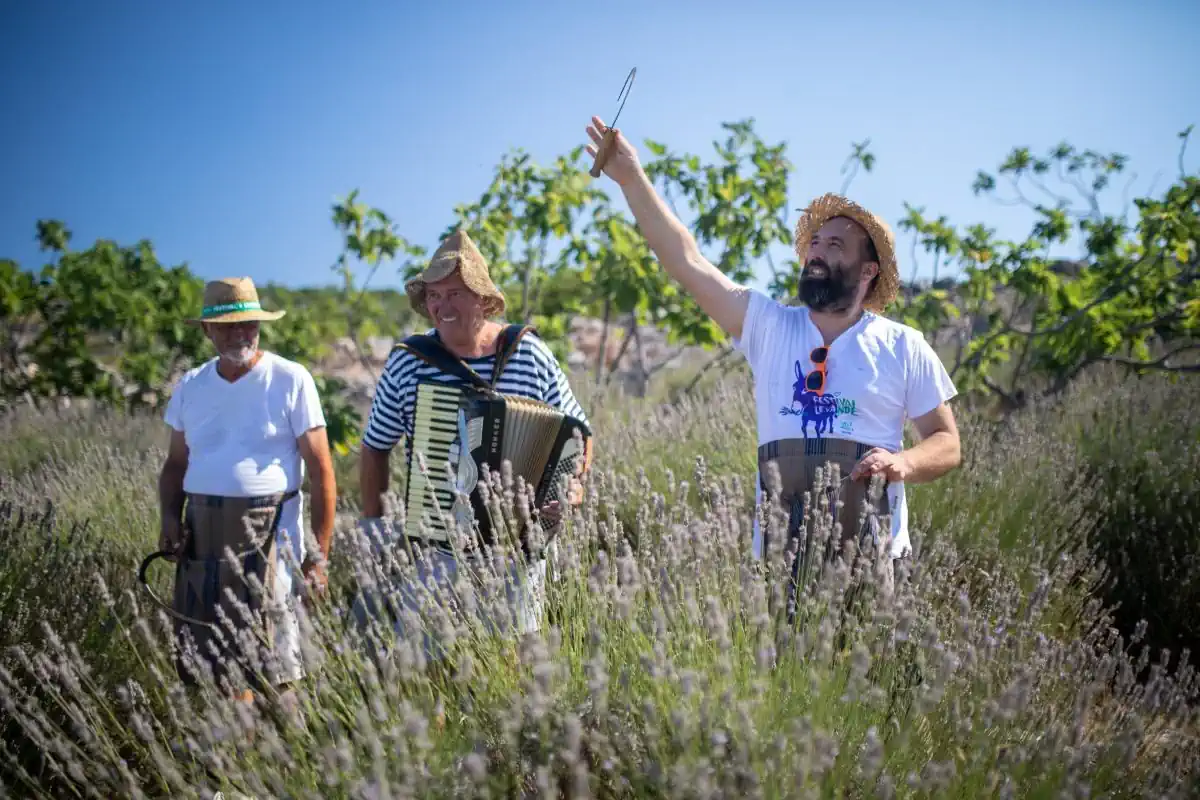 Festival della Lavanda 2025 – Hvar profuma, balla e canta al ritmo viola